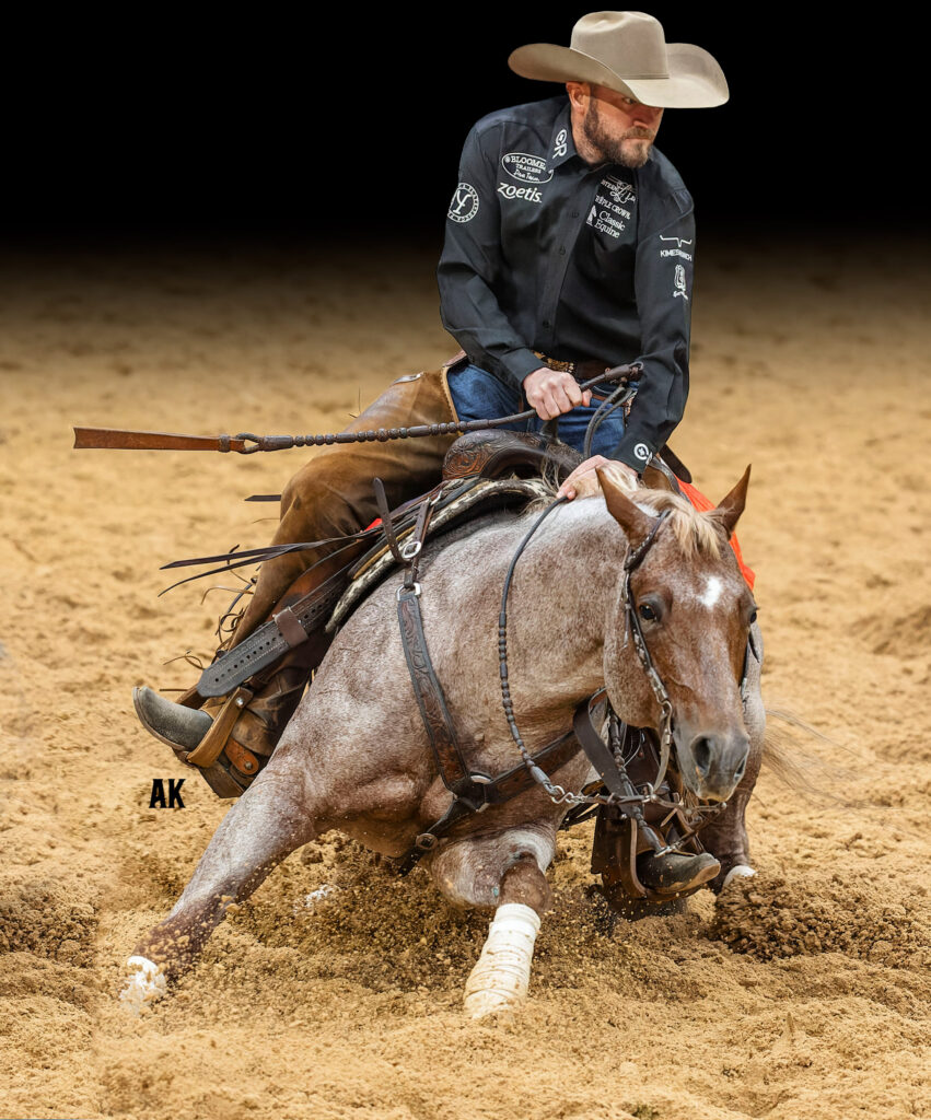 Bet He Sparks - Oswood Stallion Station