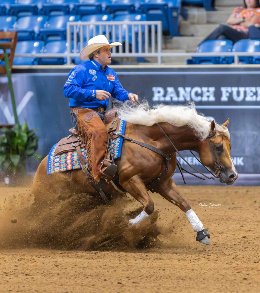 Customize My Dream - Oswood Stallion Station