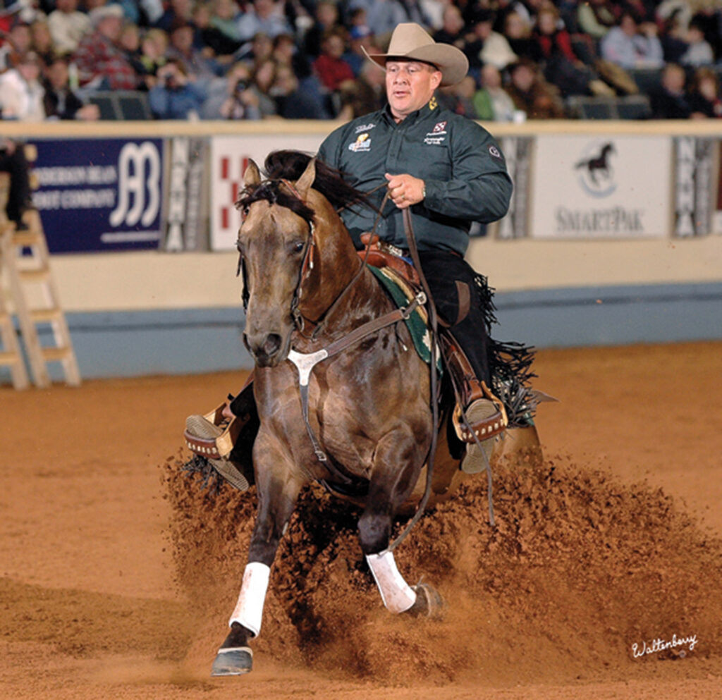 Whizkey N Diamonds - Oswood Stallion Station