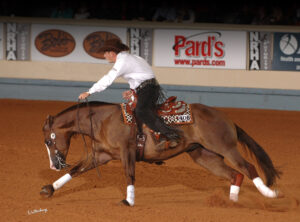 Lil Joe Cash - Oswood Stallion Station