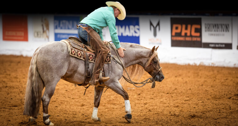 Metallic Casanova - Oswood Stallion Station