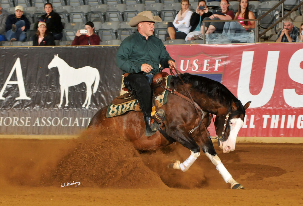 Spooks Gotta Whiz - Oswood Stallion Station